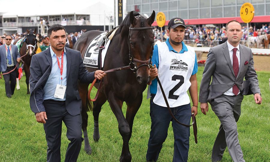 Daily Racing Form: Trainer Chad Brown Aims For Third Straight Diana ...