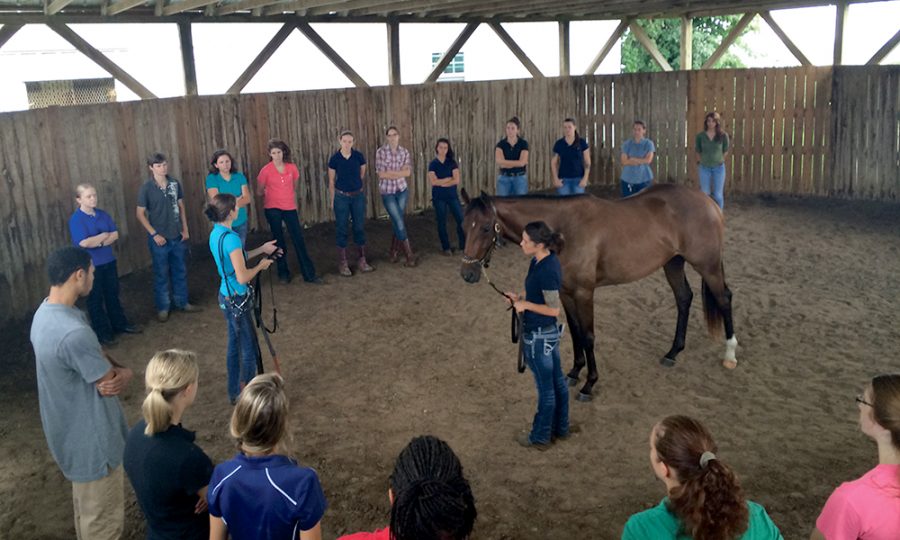 Aspiring Jockeys Learn To Go Fast, Fearlessly, At The North American ...