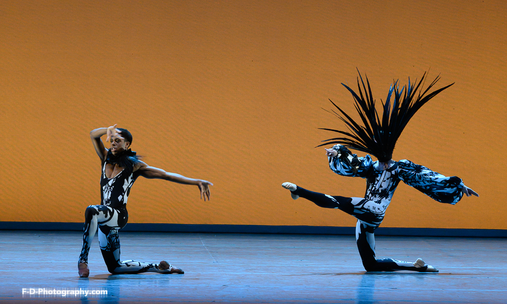 New York City Ballet 2019: Scenes From Nights 1 And 2 - Saratoga Living