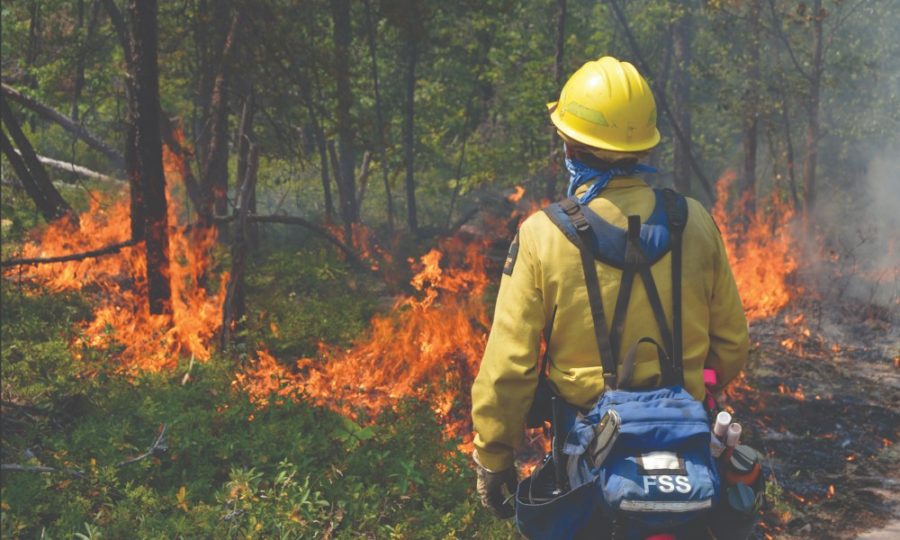 The ‘Saratoga Living’ Story You Have To Read: Saratoga & Fire ...